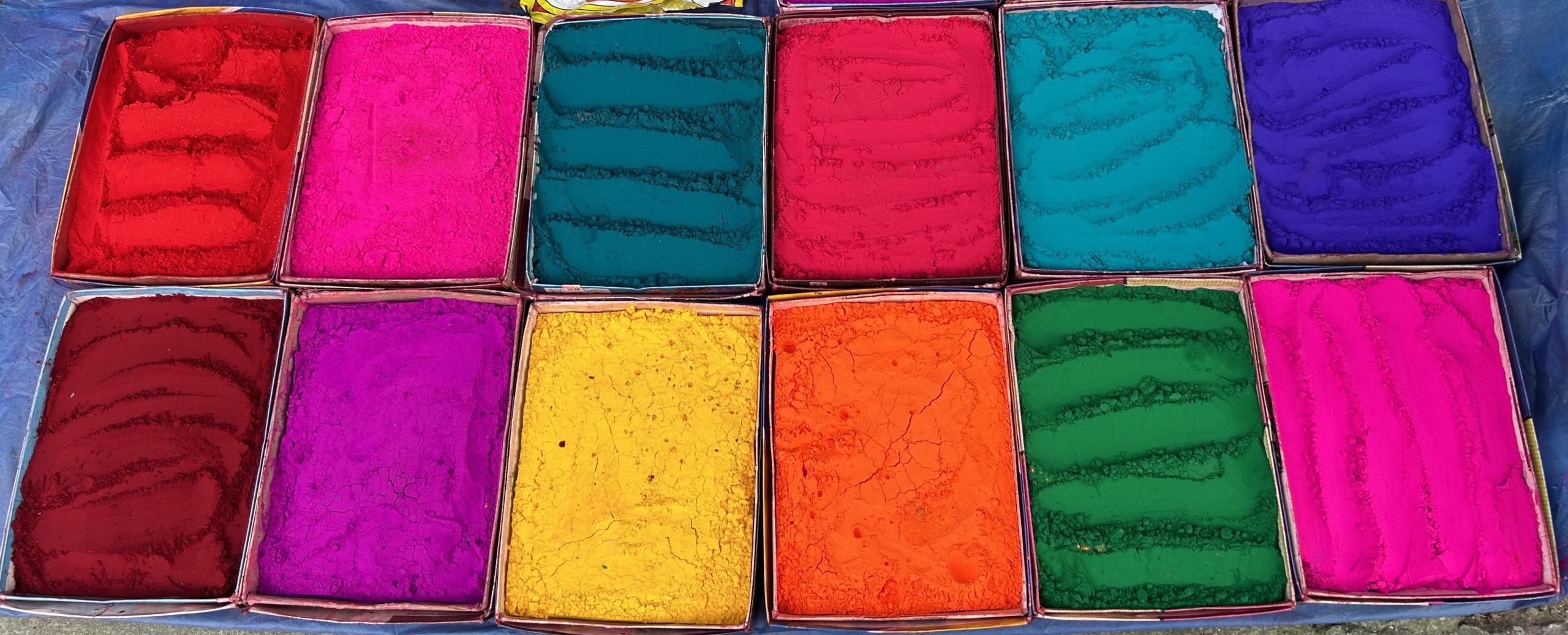 Niet polderen! Maar diversiteit zien, horen & inzetten - Transitiefocus.com